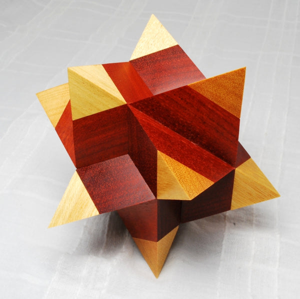 Vega Interlocking Puzzle "D" – Puzzle Box World